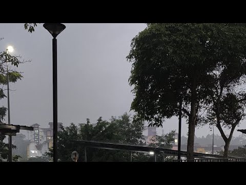 watch live rain - YouTube