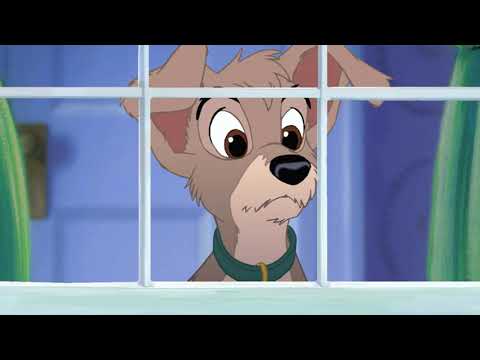 Lilli e il vagabondo II Il cucciolo ribelle (2001) - Benvenuto A Casa [UHD]