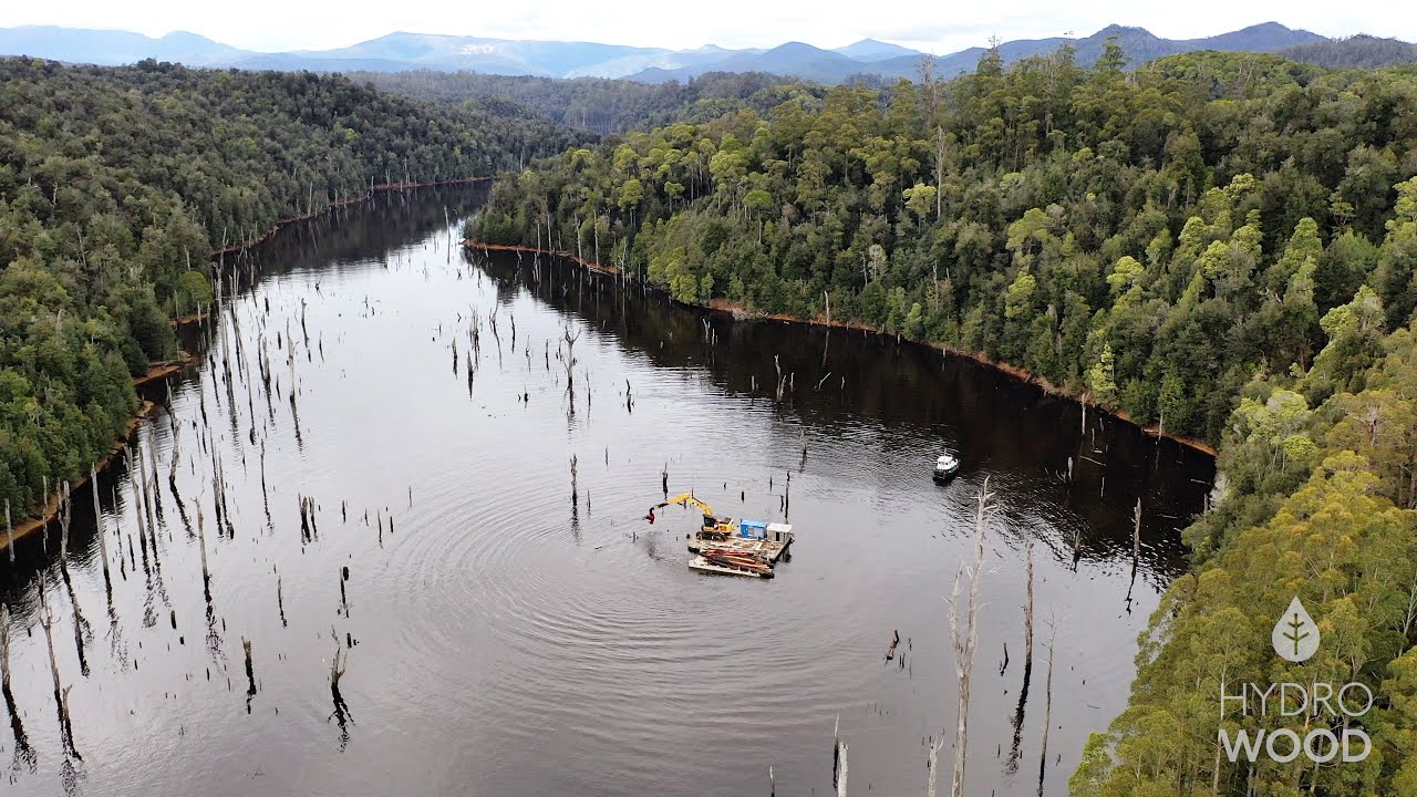 Why Invest in Hydrowood? - YouTube