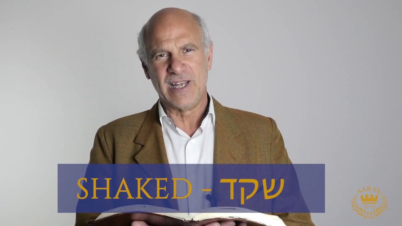 Hebrew Gems // "Shaked" - YouTube