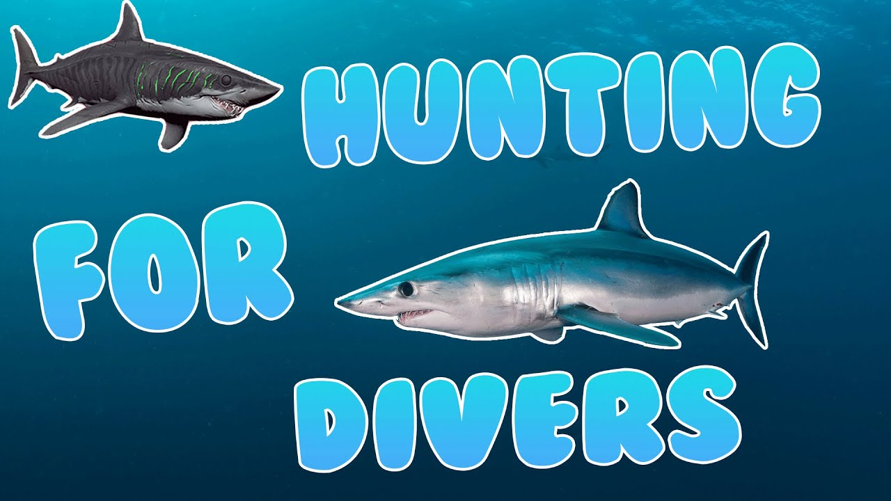 Depth - Hunting For Divers With The Mako Shark (Spirit of Hel) - YouTube