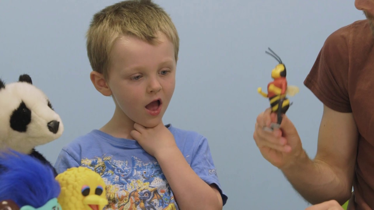 Truth Value Judgement Task - YouTube