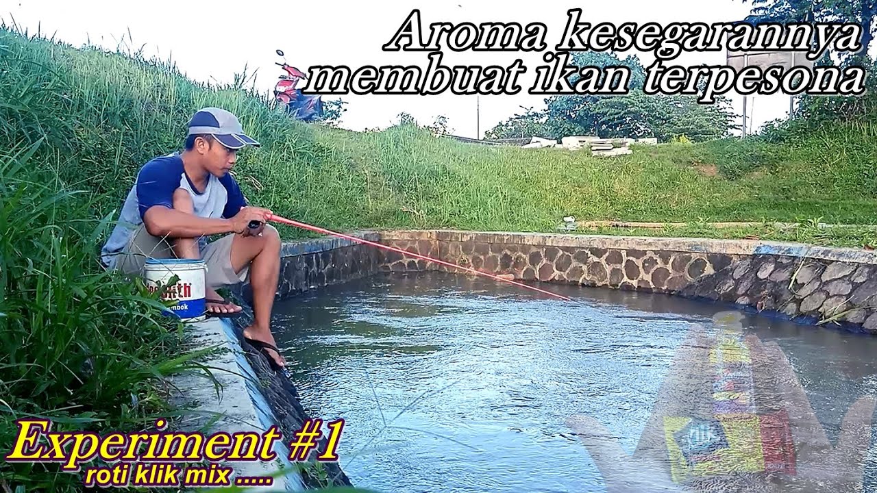 umpan mancing uceng wader, experimen umpan uceng dan wader roti klik ...