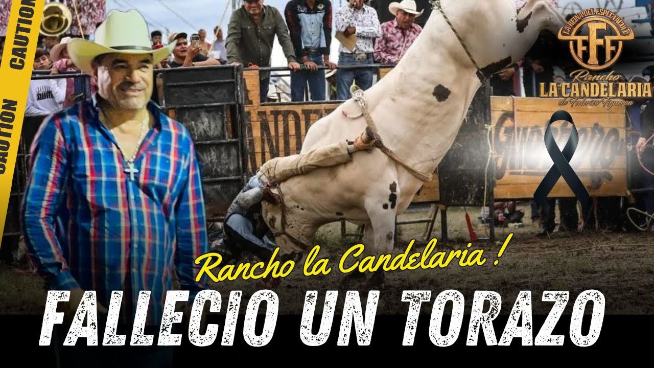 FALLECIÓ UNO DE LOS MEJORES TOROS DE RANCHO LA CANDELARIA “EL CROMO ...