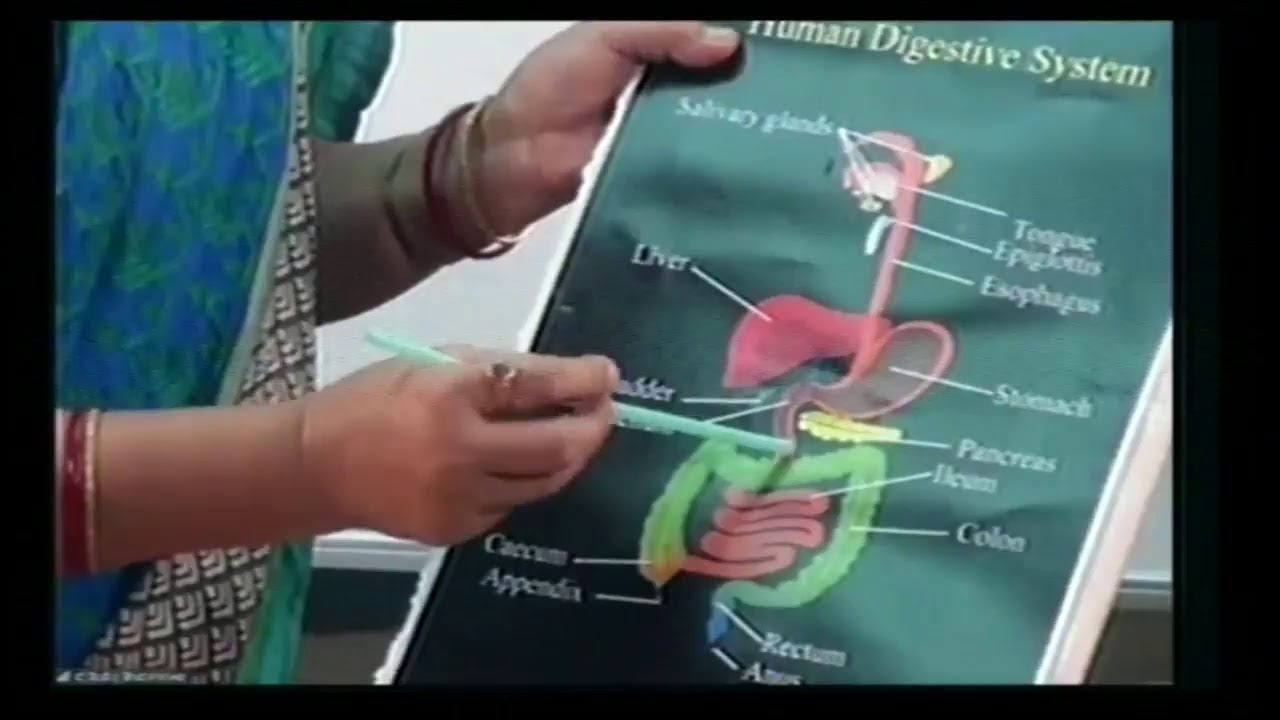 Live Discussion on : Human Nutrition (Class : X ) - YouTube