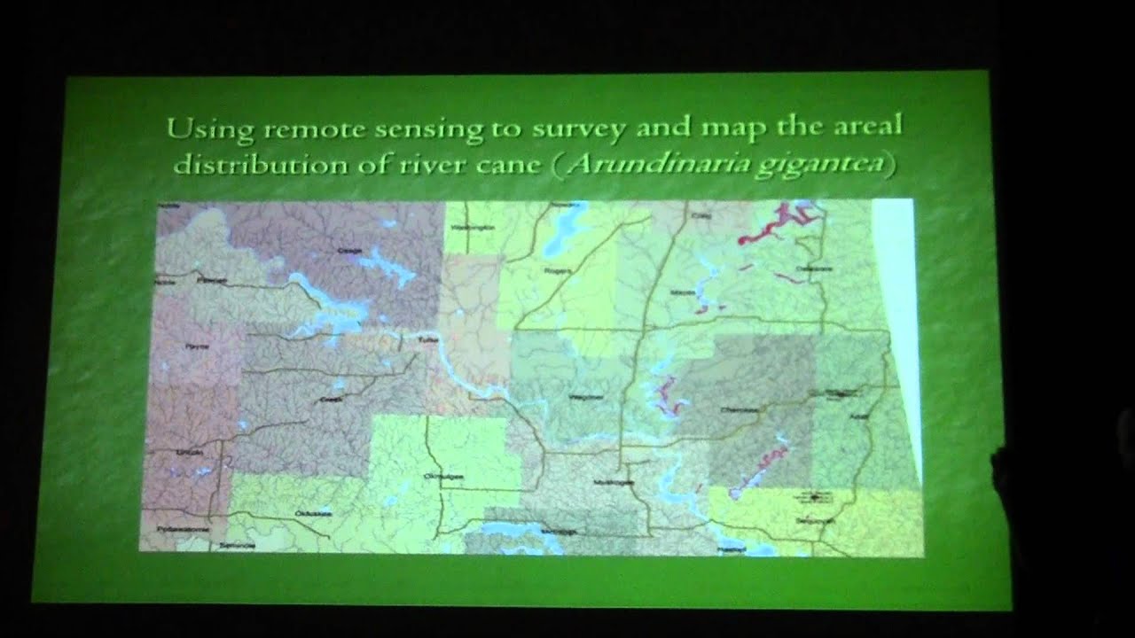 Western Cherokee Ethnoecology and Wild Plant Classification in the ...