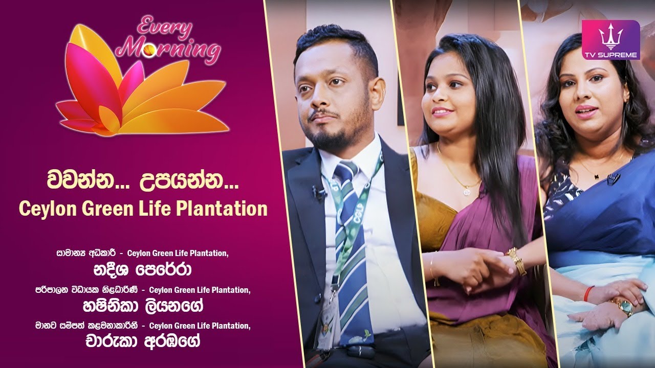 🔴 Every Morning | Ceylon Green Life Plantation | 2025.08.28 - YouTube
