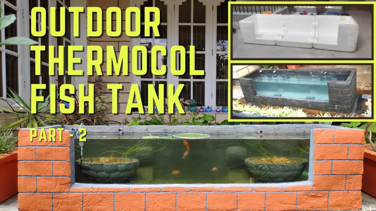 Outdoor Thermocol Fish Tank | Part2 - Painting, Planting & Stocking ...