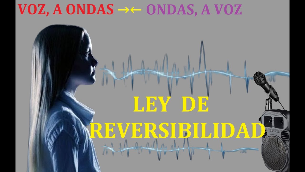 LA LEY DE REVERSIBILIDAD - YouTube