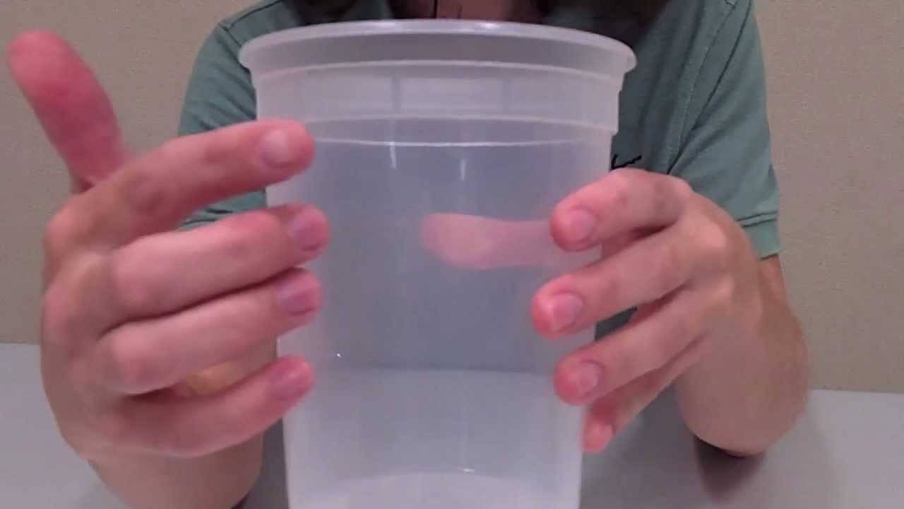 Making a Spotted Wing Drosophila Trap - YouTube