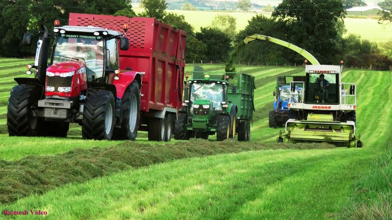 Third-cut Silaging with the Farm's Tackle. - YouTube