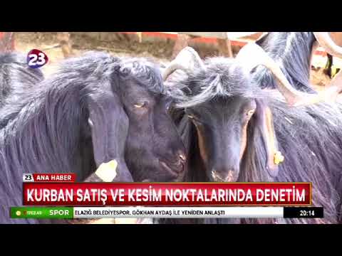 KURBAN SATIŞ VE KESİM NOKTALARINDA DENETİM