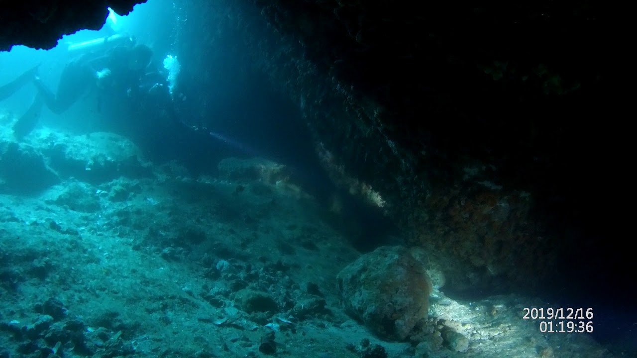Gato island, malapascua: white tip comes close - YouTube