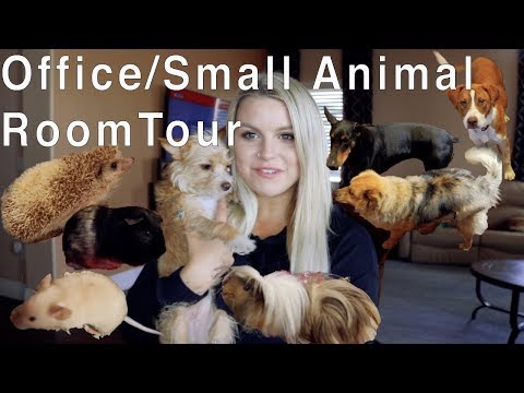 MY OFFICE/SMALL ANIMAL ROOM TOUR💜