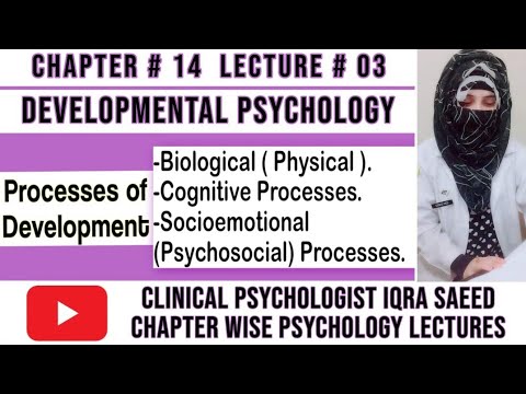 Processes of Development with Examples | Developmental Psychology ...