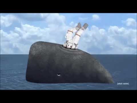 Funny Gif Compilation - YouTube