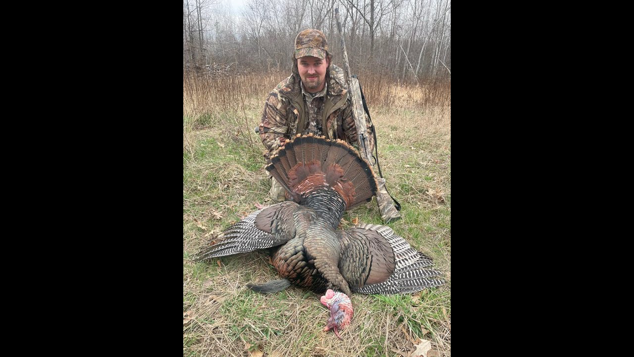 Spring Turkey Hunting MN Public Land Bobby's Turkey - YouTube