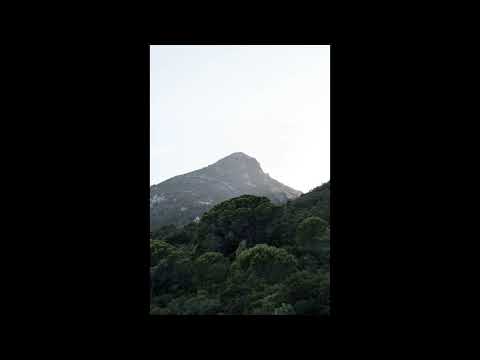 Poetry: Days, Annette Wynne - YouTube