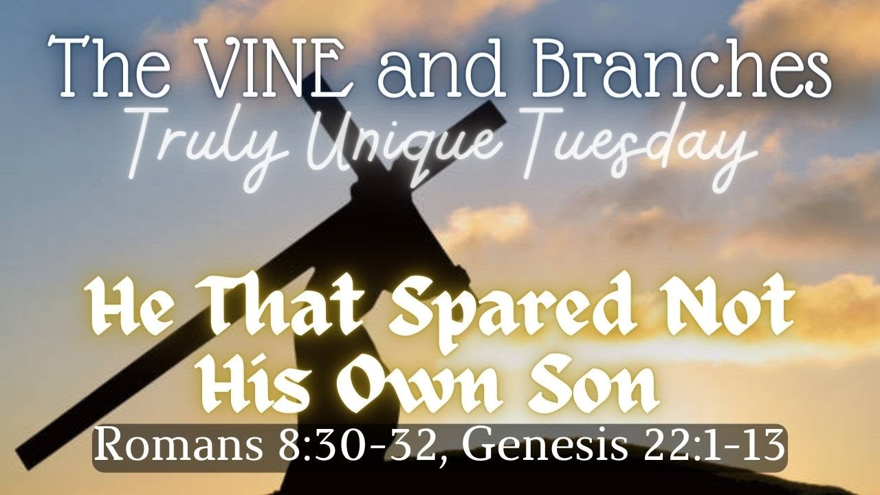 He That Spared Not His Own Son_The VINE and Branches - YouTube