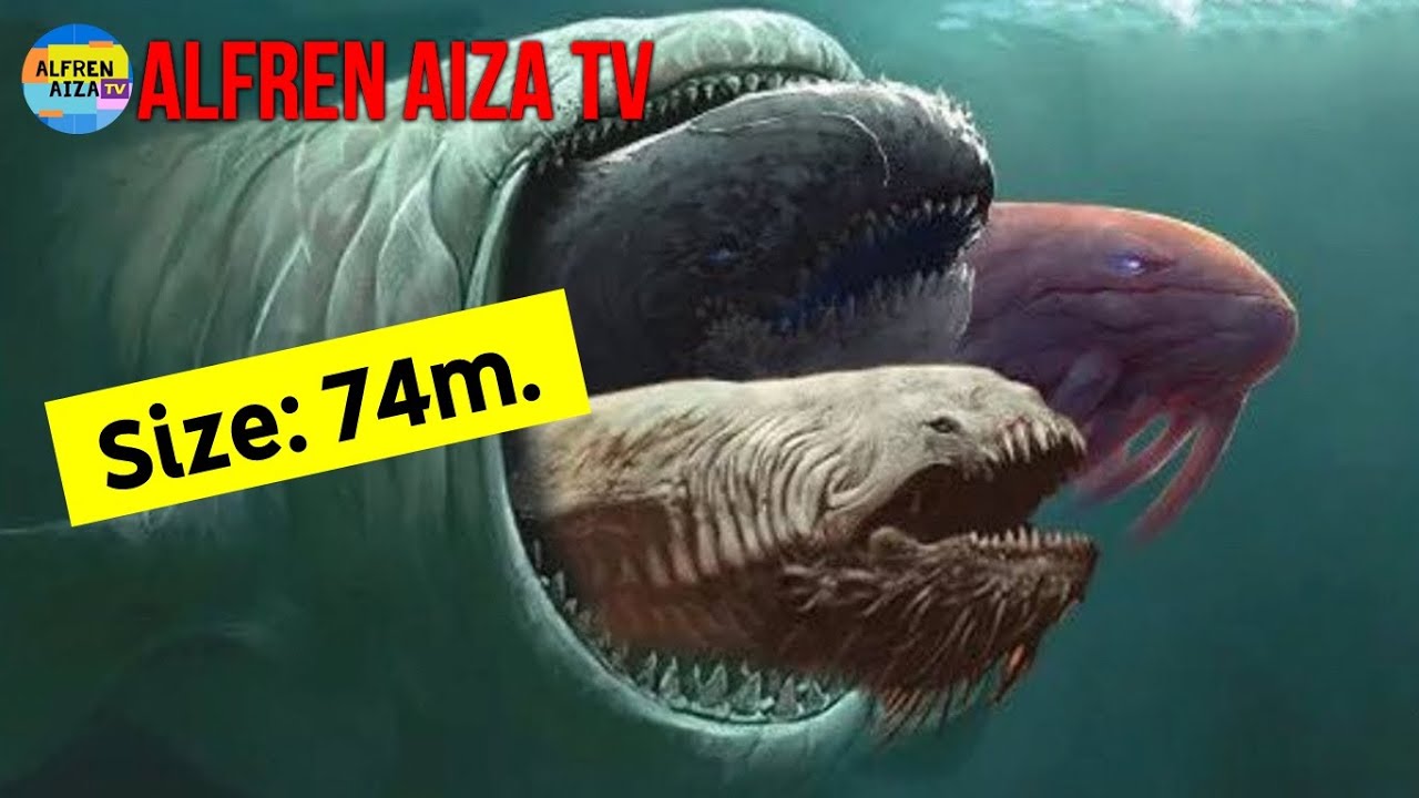 Top 10 Biggest Ocean Animals in the World - YouTube