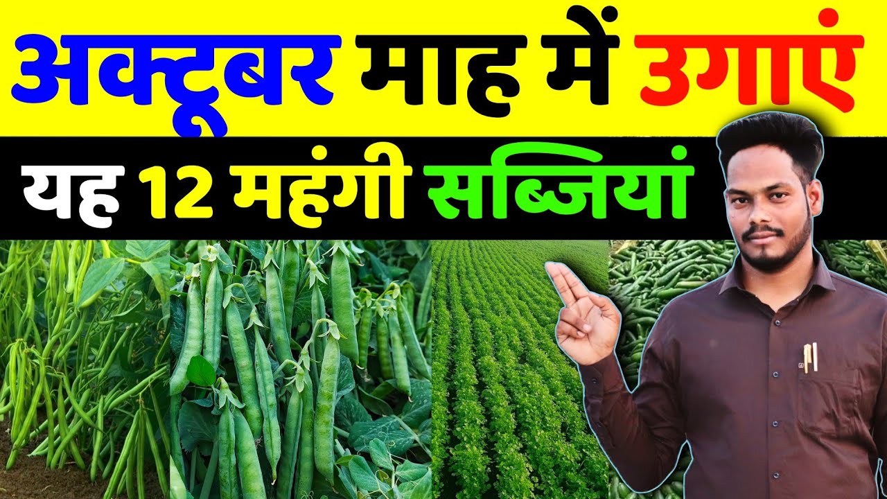 October me konsi sabji lagaye🌱अक्टूबर माह में कौनसी सब्जी लगाएँ ...