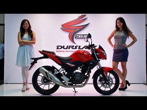 New 2025 Bajaj Pulsar 300 Finally Launched.!!! - YouTube