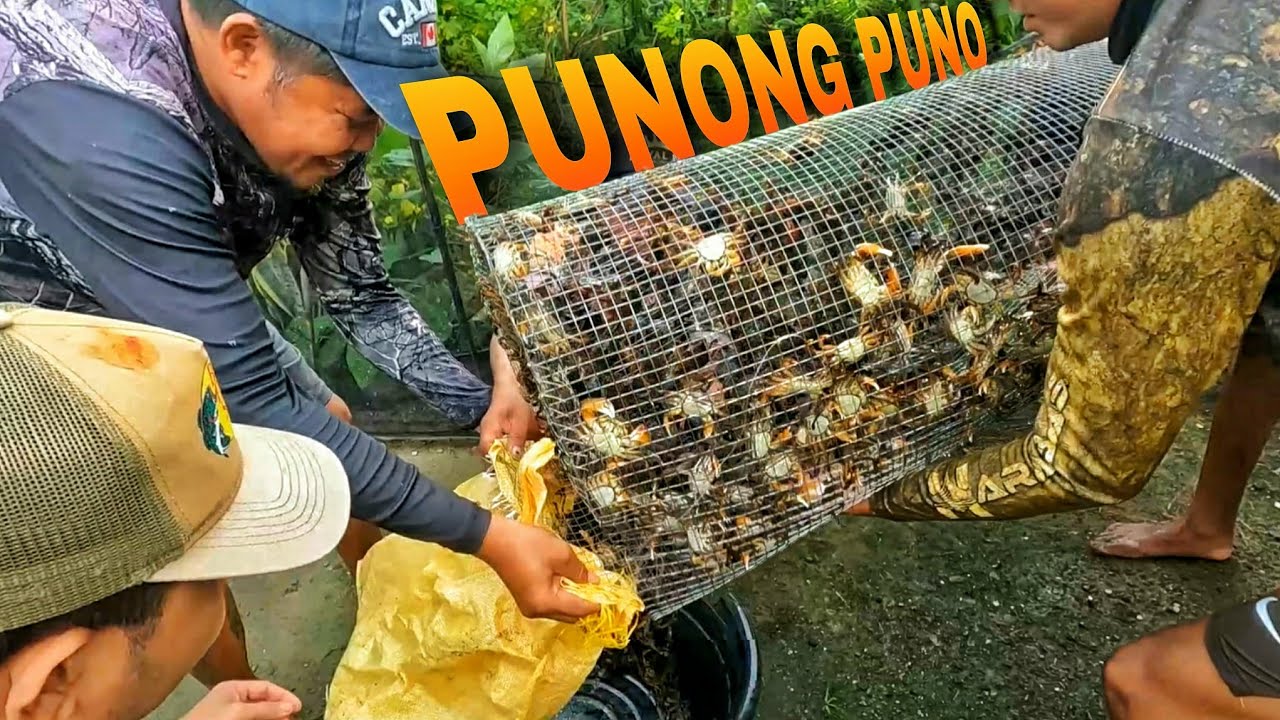 Punong Puno ng Talangka - EP1992 - YouTube