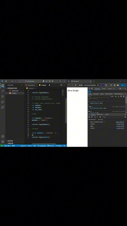 Part17 Javascript Variables Frontenddeveloper Programming Javascript Sinhala Coading