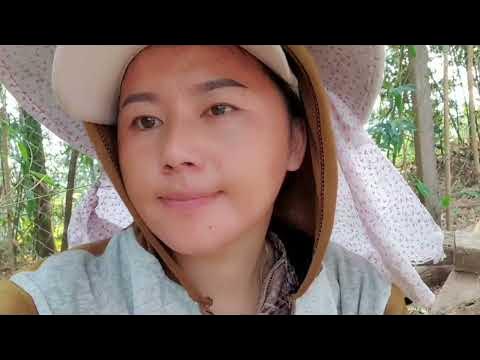 hnub no rov mu ua teb duas lawm os tshav ntuj ma kub tshaj li os lawv aw - YouTube