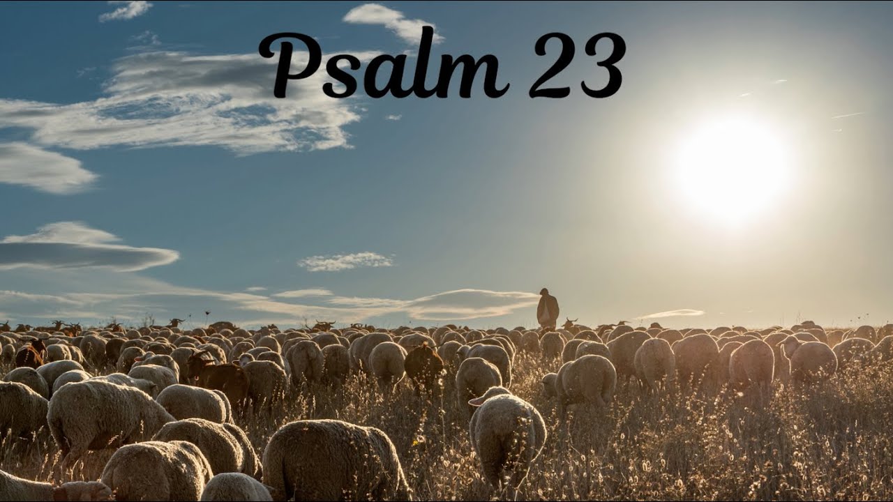 Psalm 23 - A visual journey and a break down through the shepherd's ...