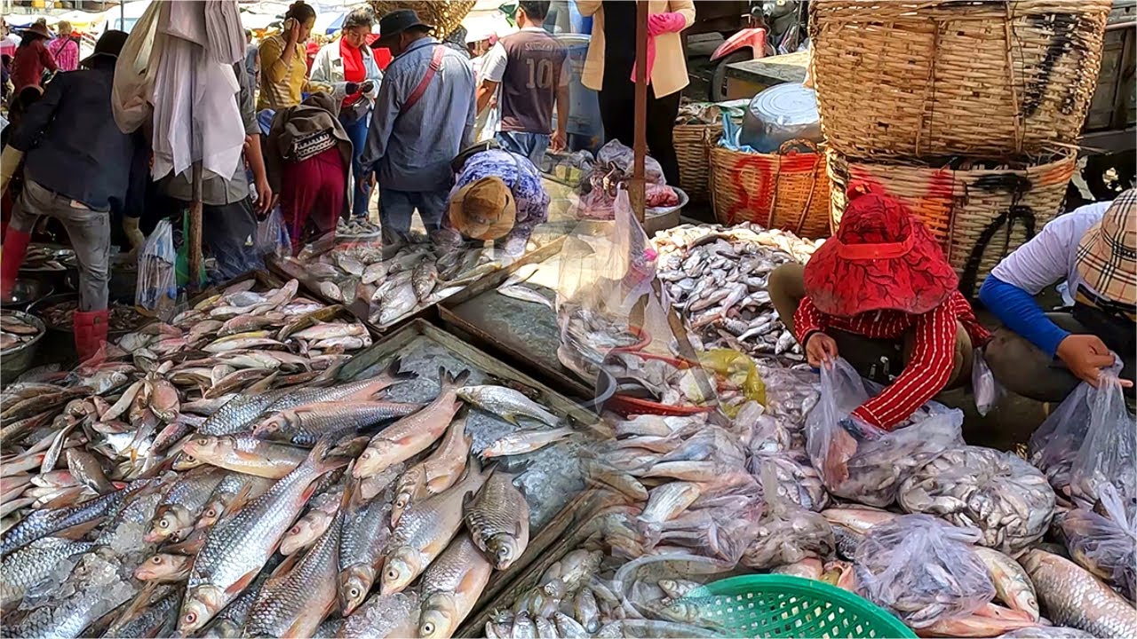 Kilo Fish Market No. 9! Most people buy fish at Kilo 9 Market. People ...