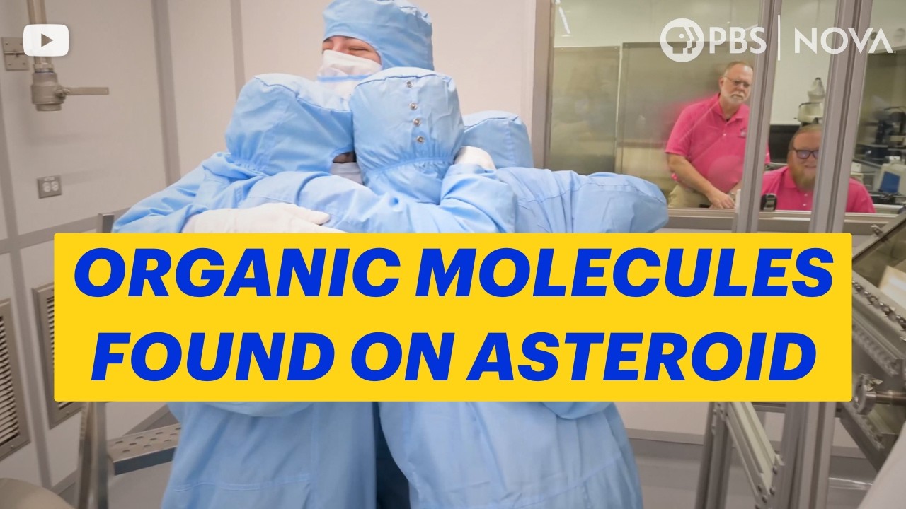 Building Blocks of Life Discovered on Distant Asteroid | NOVA | PBS ...