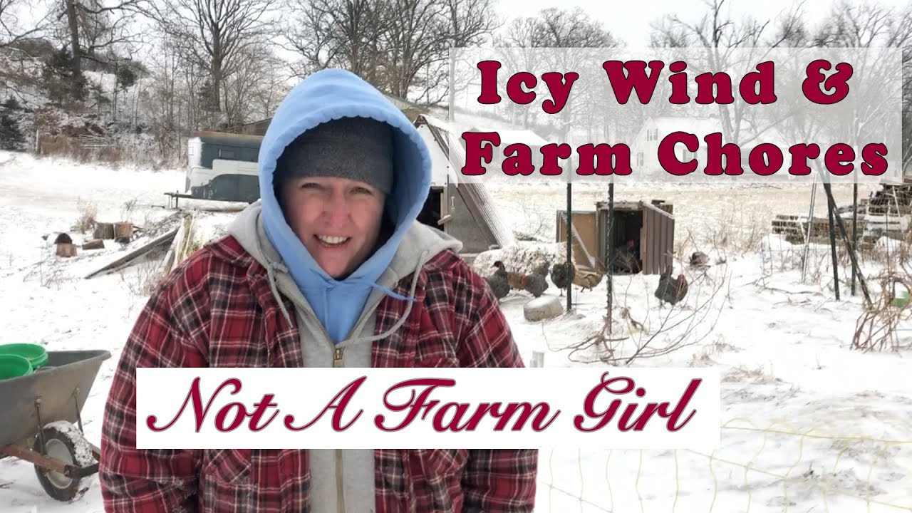 How Will You Handle Winter Farm Chores? - YouTube
