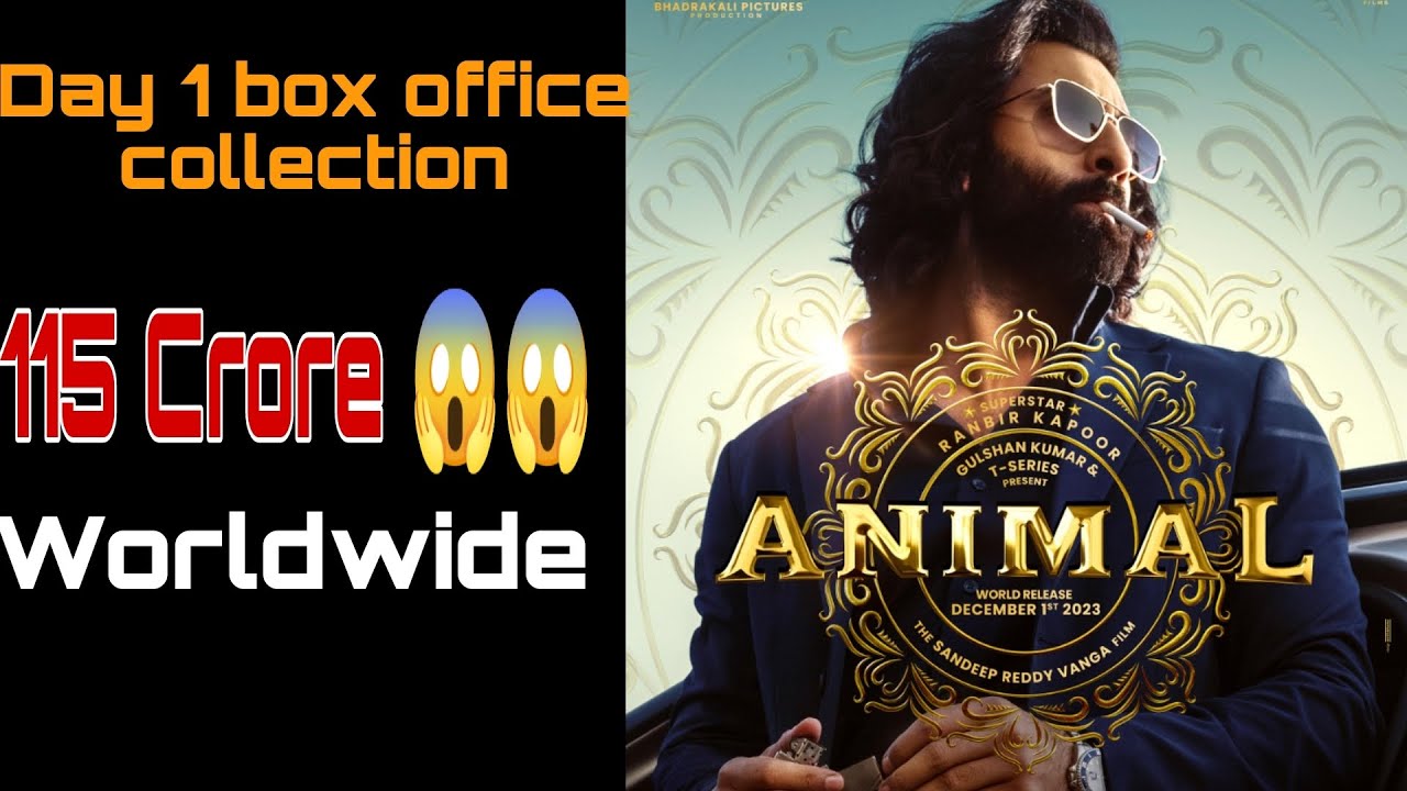 Animal movie day 1 total box office collection | Explain in Hindi - YouTube