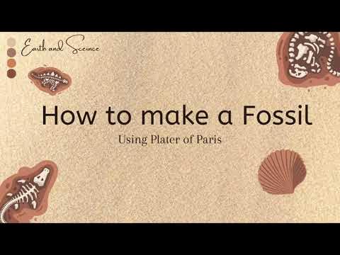 How to make Fossil using Plaster of Paris - YouTube