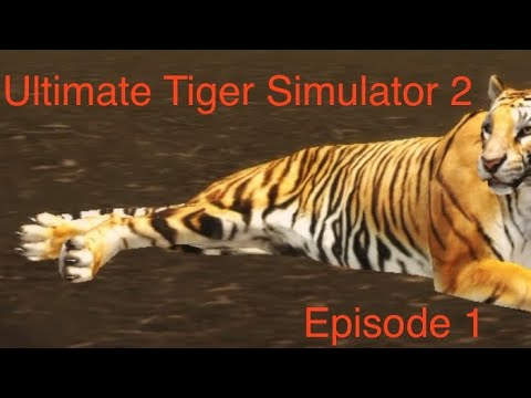 New Beginnings | Ultimate Tiger Simulator 2 | Episode 1 - YouTube