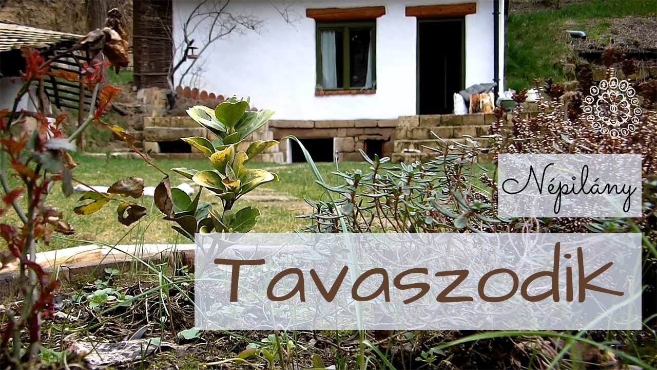 Kertrendezés | Mogyoróbarka tea | DIY drót madárkák - YouTube