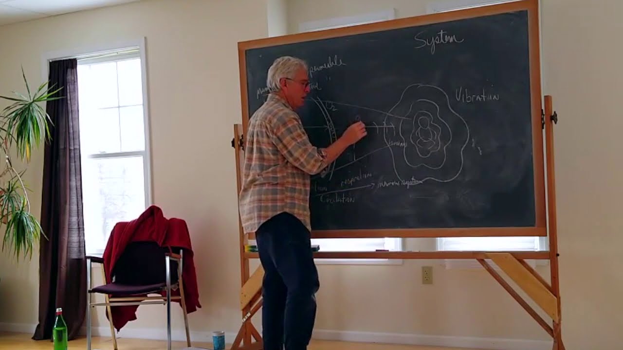 Light Body Activation - a discussion about the evolution of the human ...