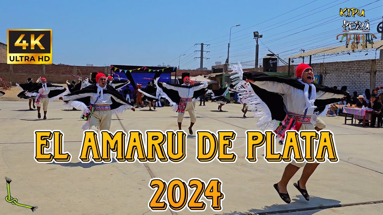 Mallku Kunturini / Puno / Urpi Tusuy ( El Amaru de Plata 2024 - Katari Peru ) - YouTube