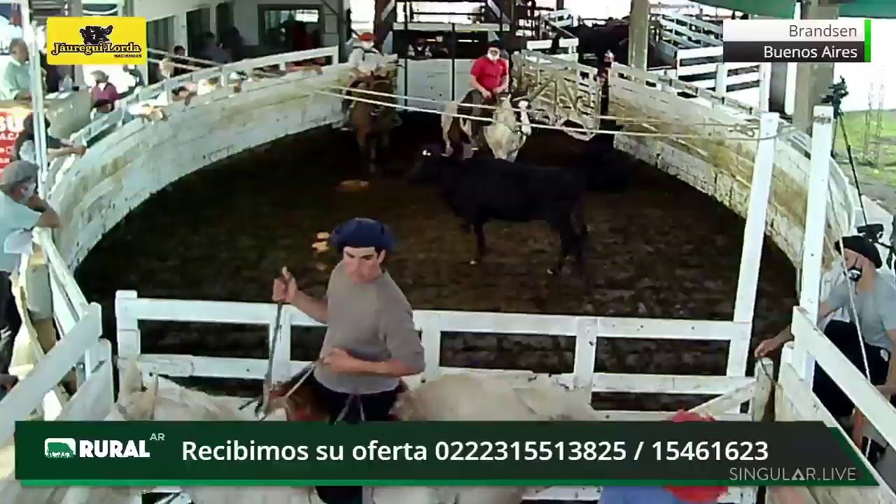 06/10/2020 - Feria María Dolores - General Ramírez, Entre Ríos ...