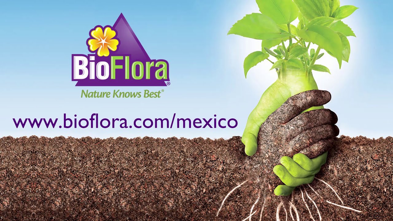 Humega PRO Mexico - YouTube