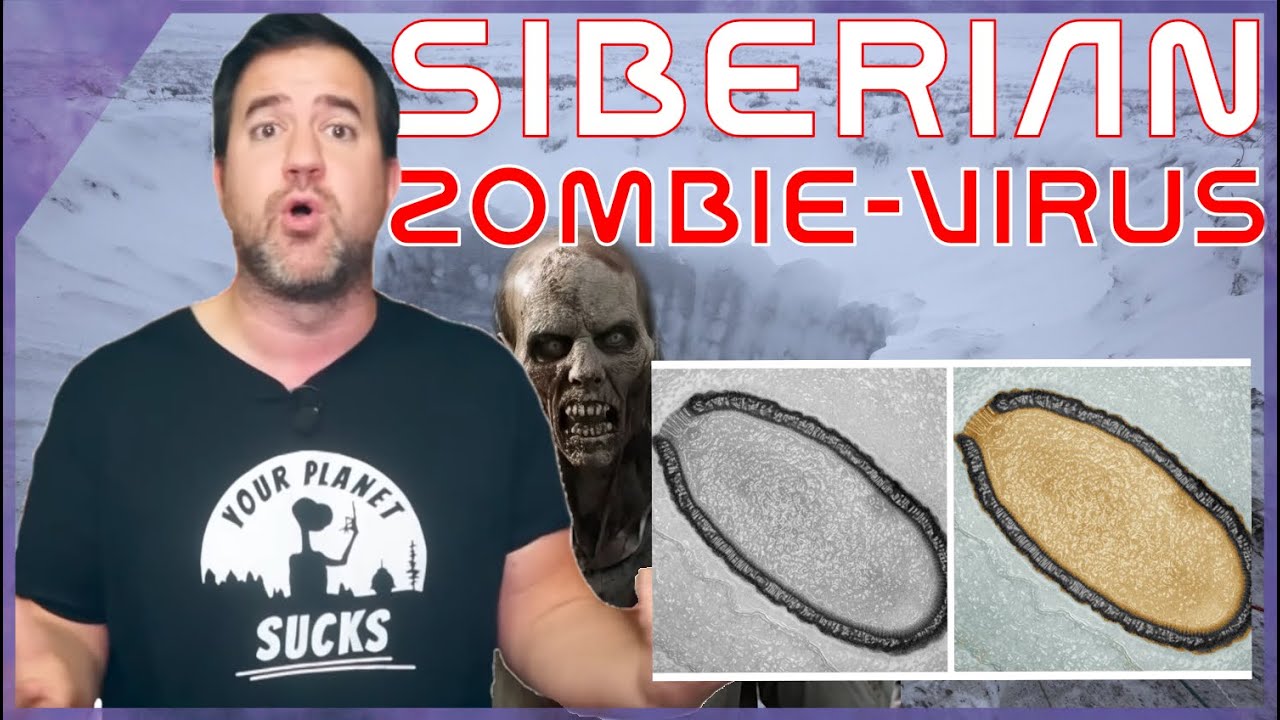 ZOMBIE VIRUS from the permafrost of Siberia - researchers bring 50,000 ...
