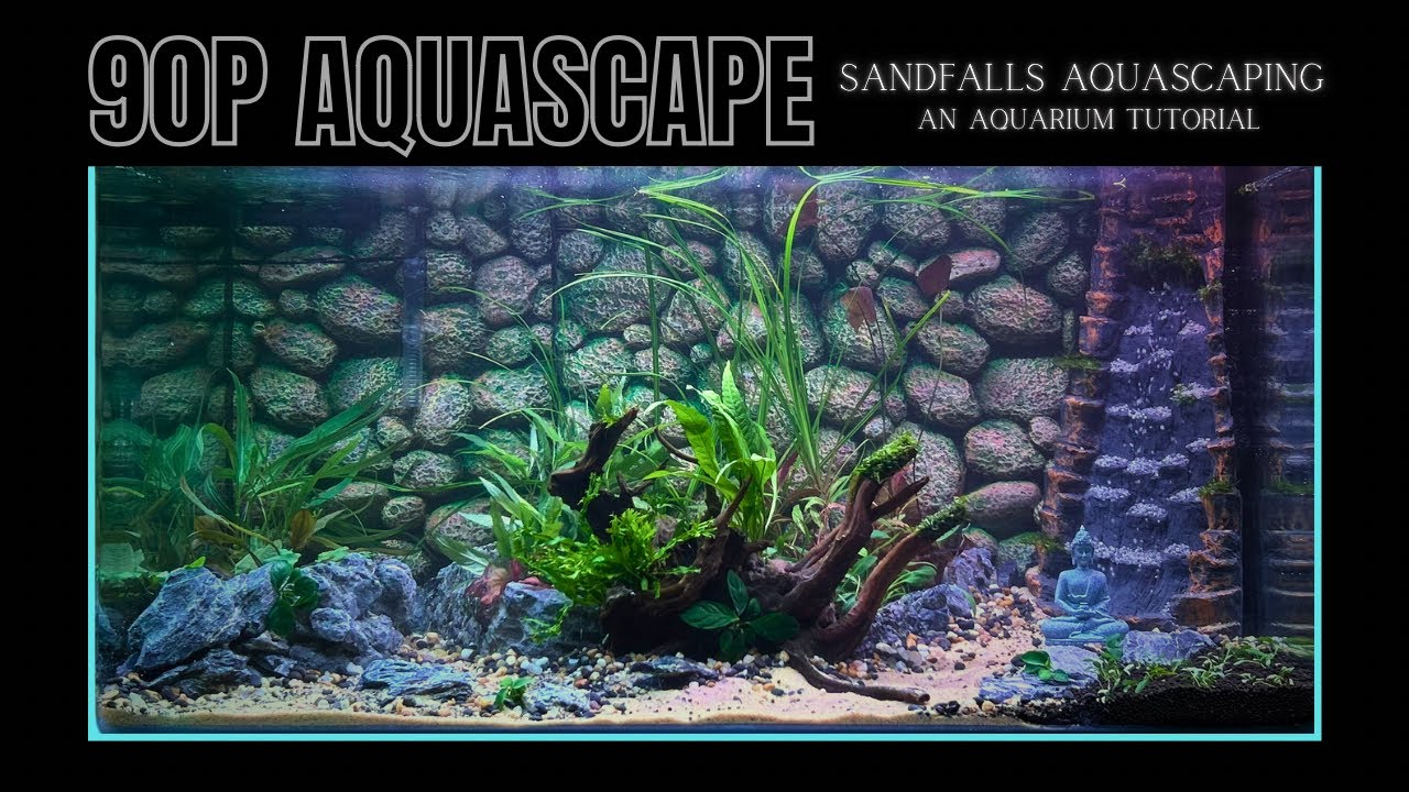 Creating a Serene Underwater Paradise: 90P Aquascape Showcase - YouTube