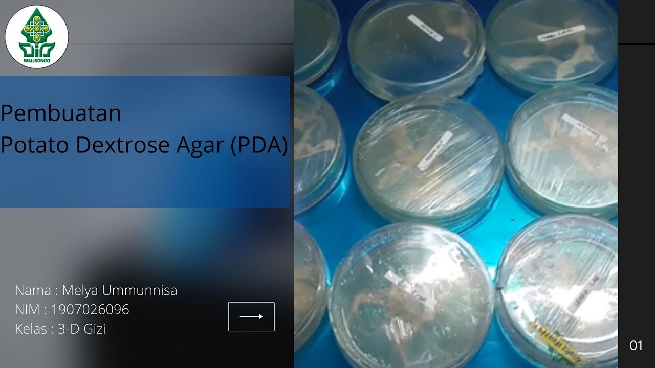 Pembuatan media PDA (Potato Dextrose Agar) | Melya Ummunnisa-1907026096 ...