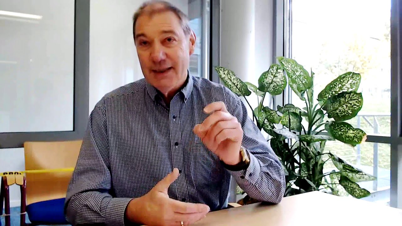 Prof. Dr. Werner Helsper: Pädagogische Professionalität - YouTube