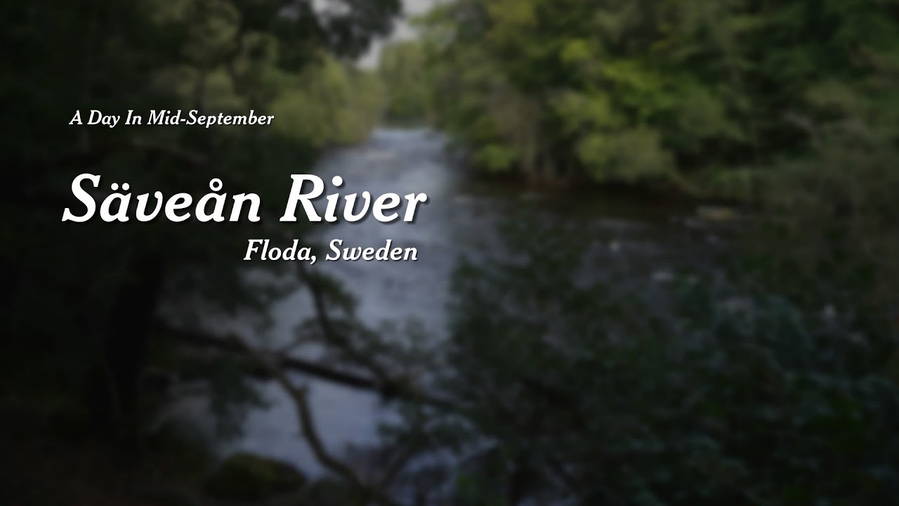 A Day In Mid-September: Säveån River - Floda, Sweden - YouTube