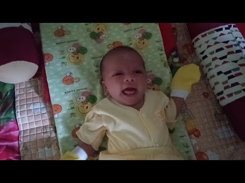 Si Adek mau minta nyusu