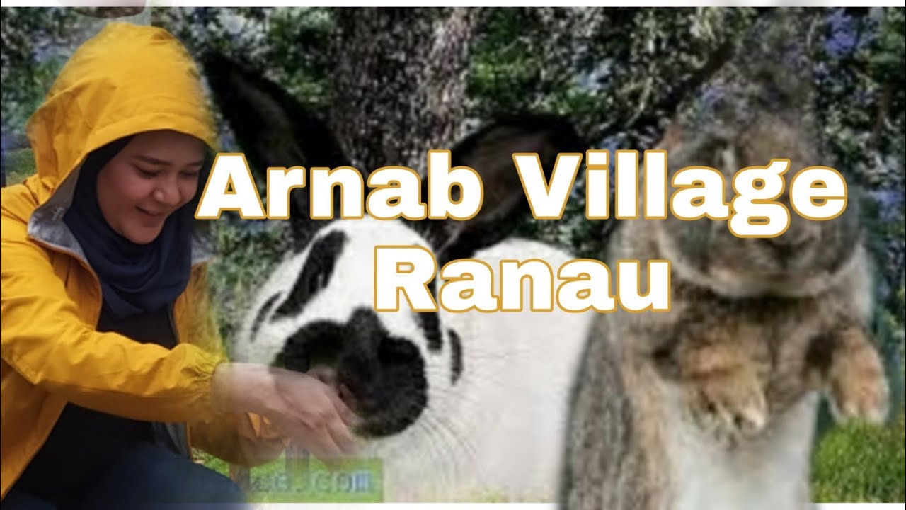Arnab Village Ranau l Tempat Menarik Kundasang SABAH - YouTube