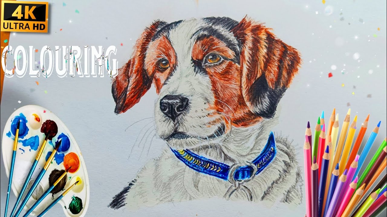 Puppy Drawing Challenge in 8 Minutes/This Drawing dedicated to Dog ...