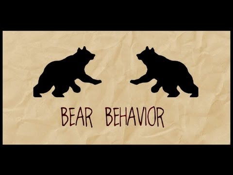 Bear Behavior - YouTube